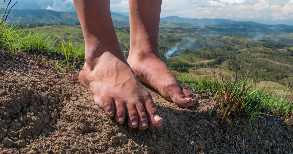 One Foot, Two Foot, Sure Foot, True Foot – Roots Down Deep